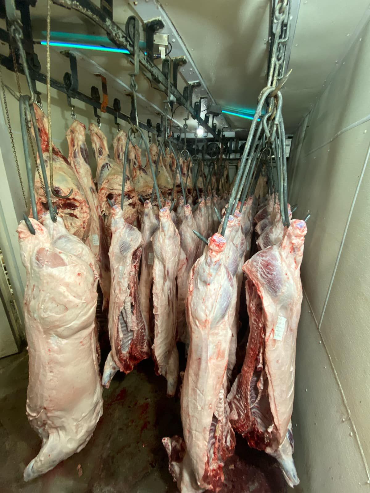 Meat Products | Greater Omaha area | 402-994-5655