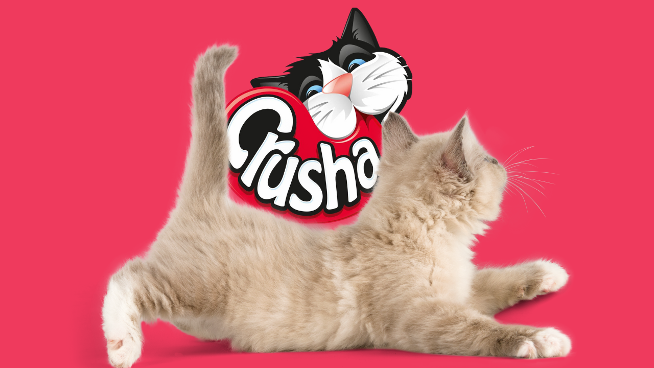 How Crusha Crushed It with The Crusha Kittens Advert