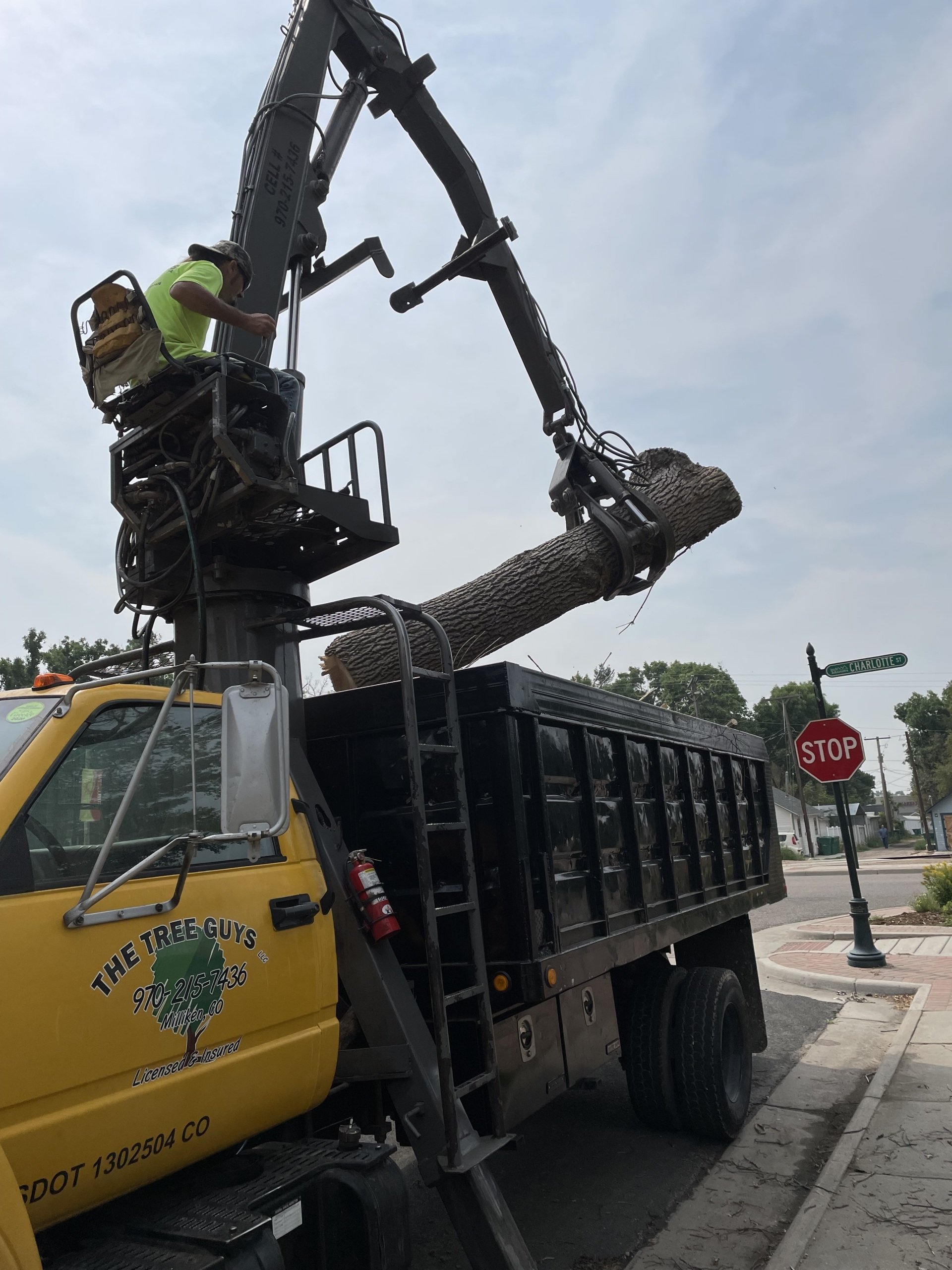 The Tree Guys LLC | RECYCLING SERVICE