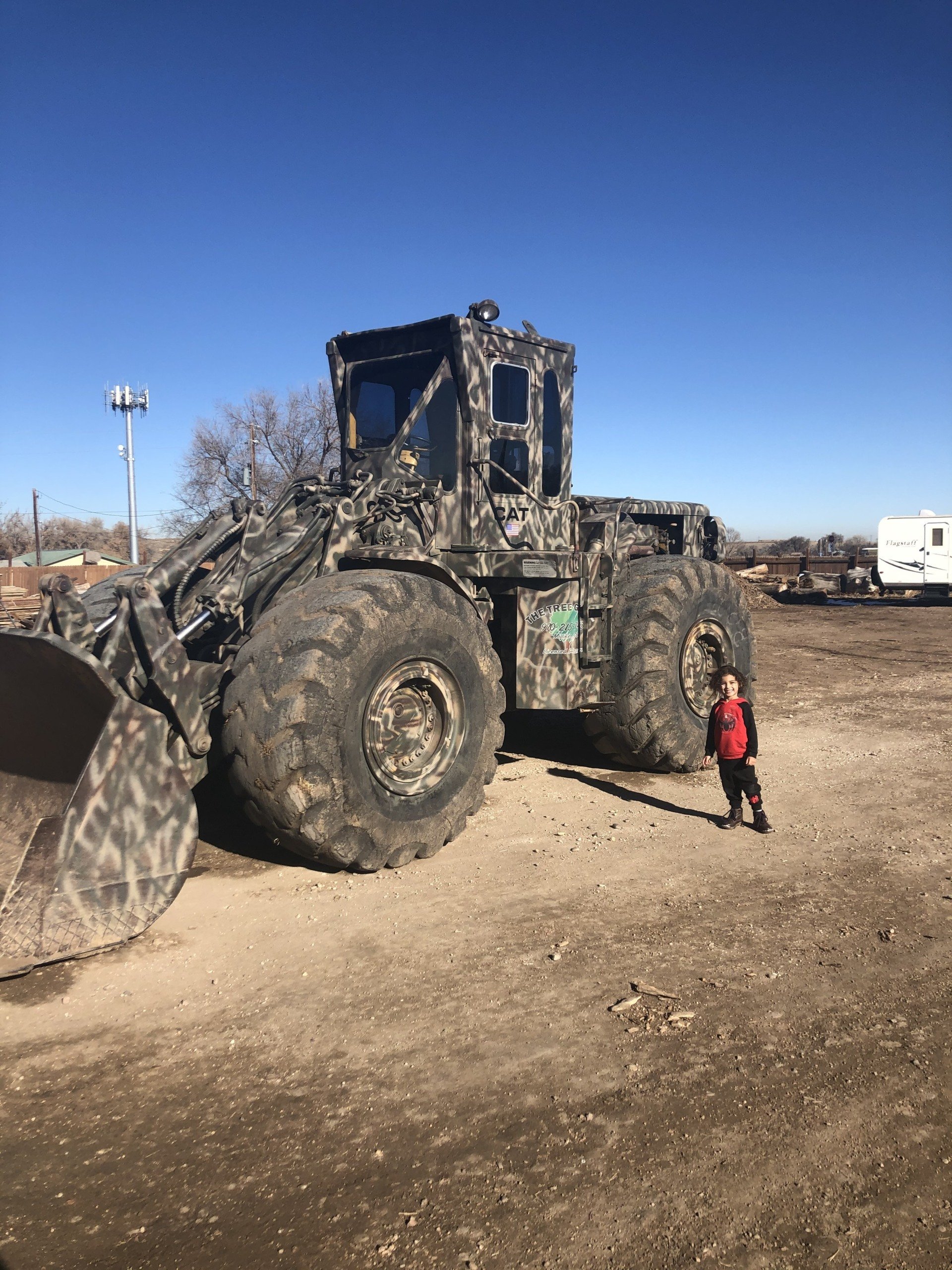 The Tree Guys LLC | HOME