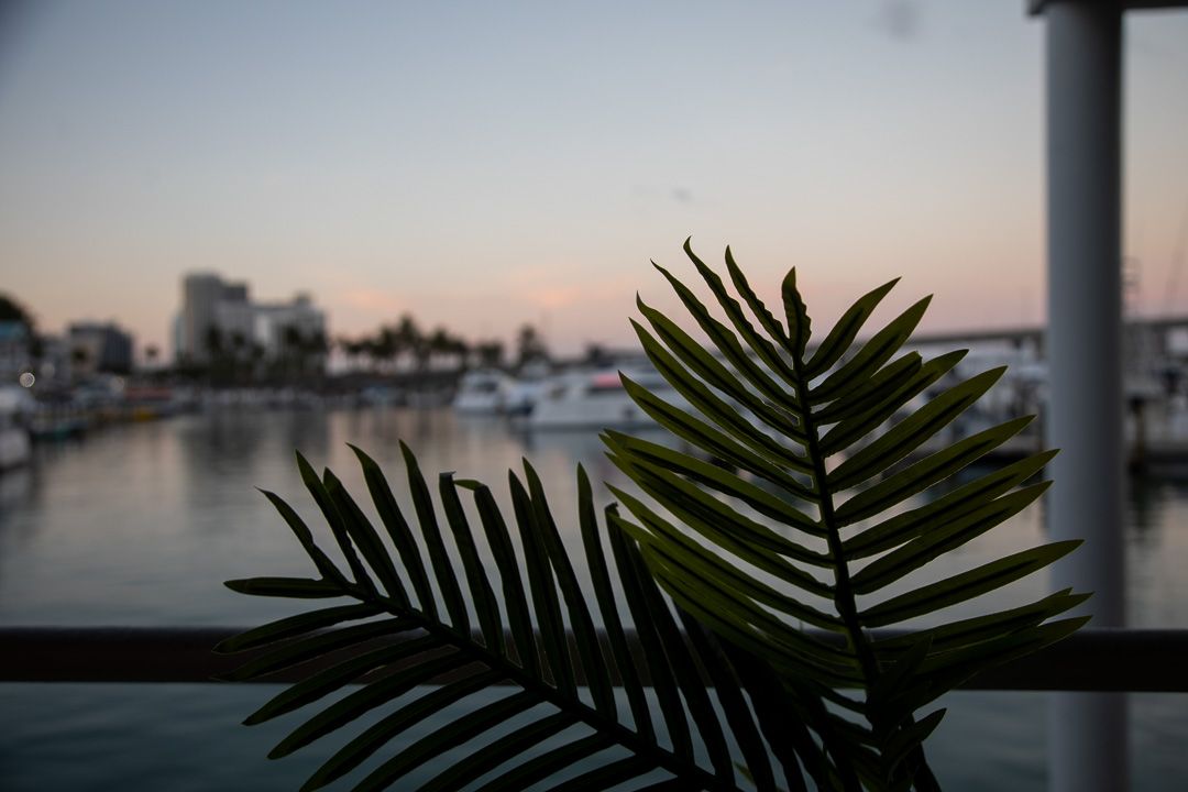 Miami Sunset Cruise - Skyline Sunset Tour in Biscayne Bay!