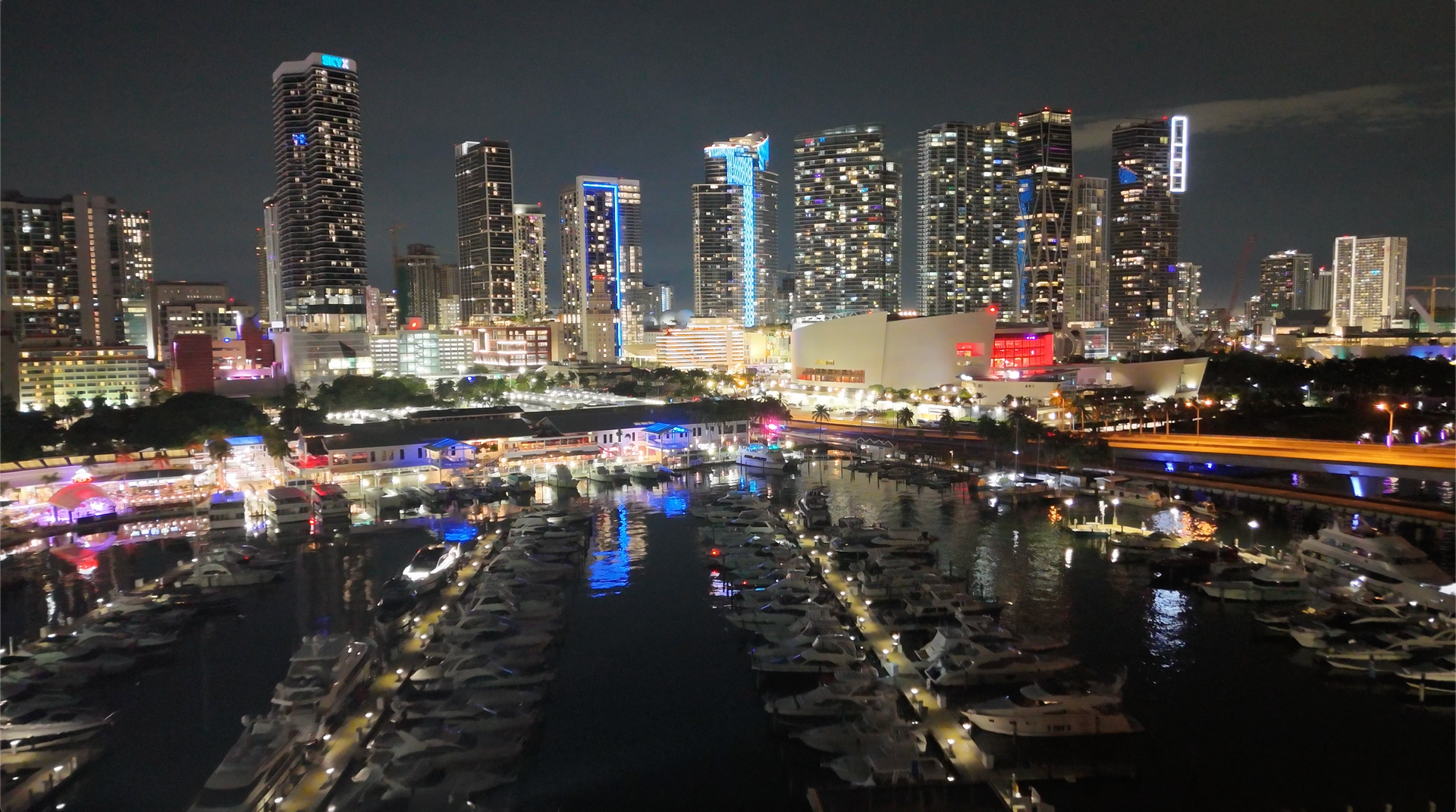 Miami Night Cruise | Official Miami Skyline® Night Views