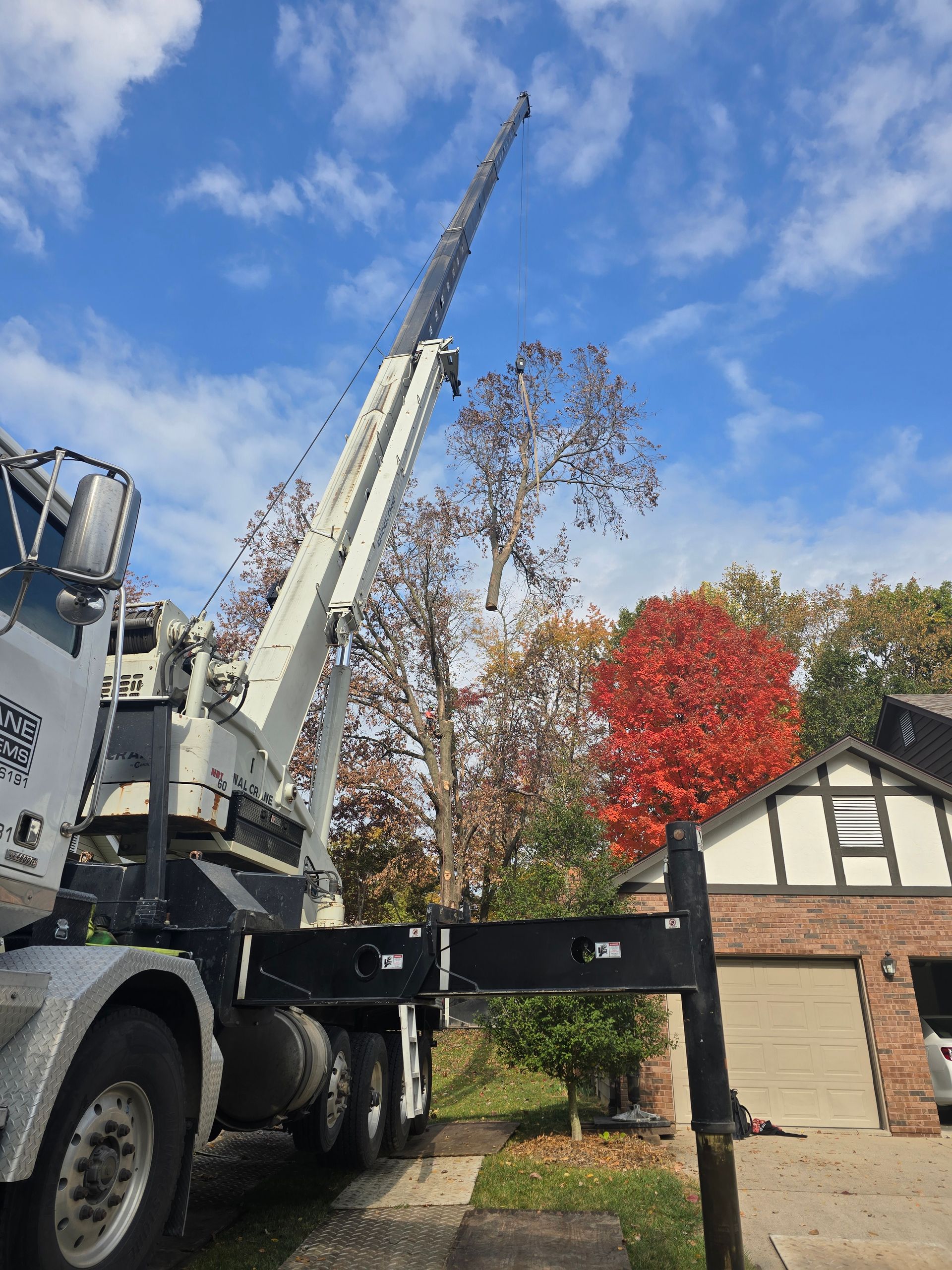 Project Gallery | Tree Services | Edwardsville IL | Glen Carbon IL