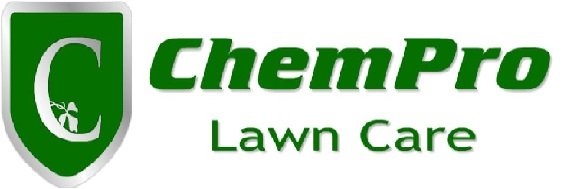 Best Weed Control in Metro Atlanta | ChemPro Lawn Care