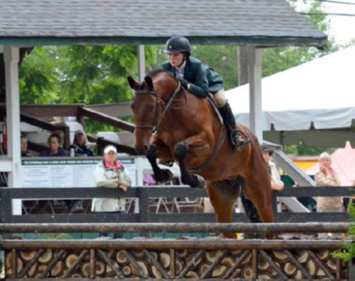 The Cleveland Bay Horse Society