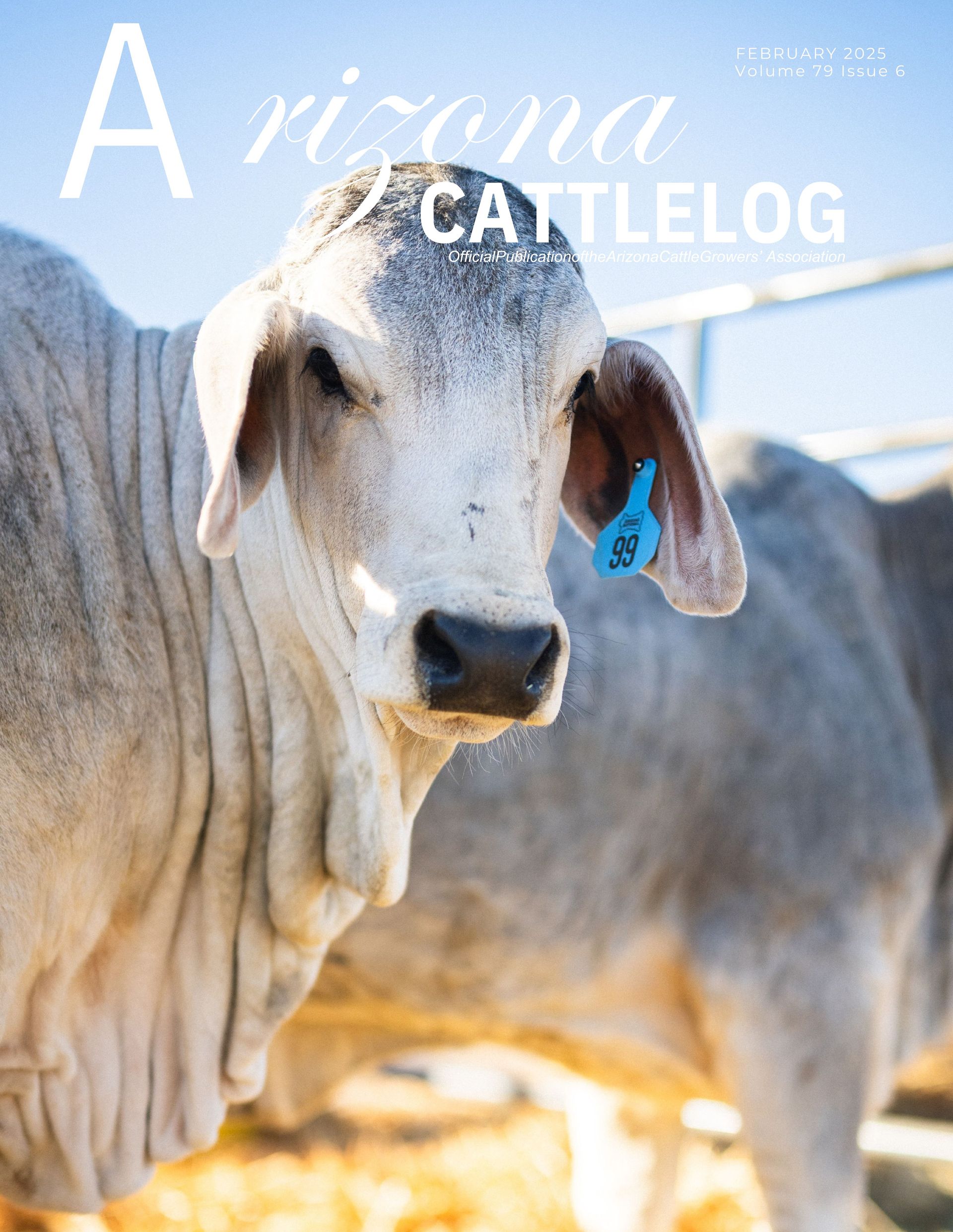 Arizona Cattlelog