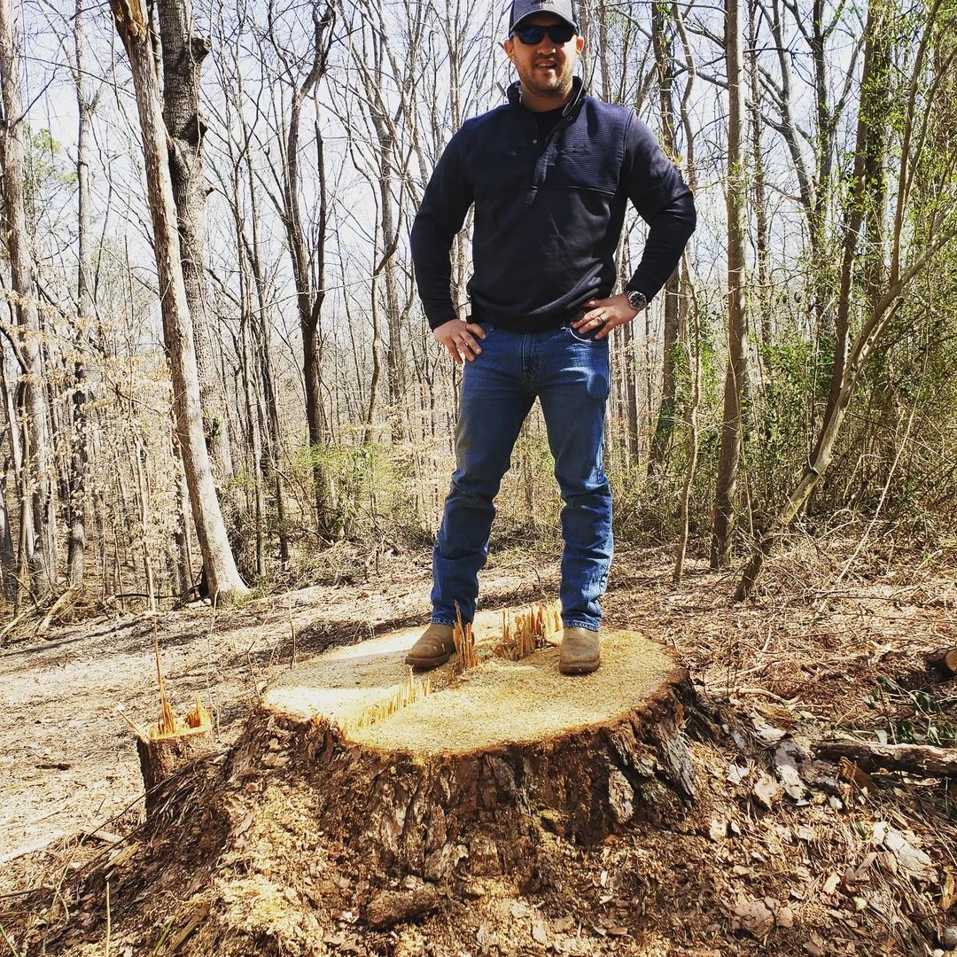 Can I plant a new tree in the same place after a stump has been ground