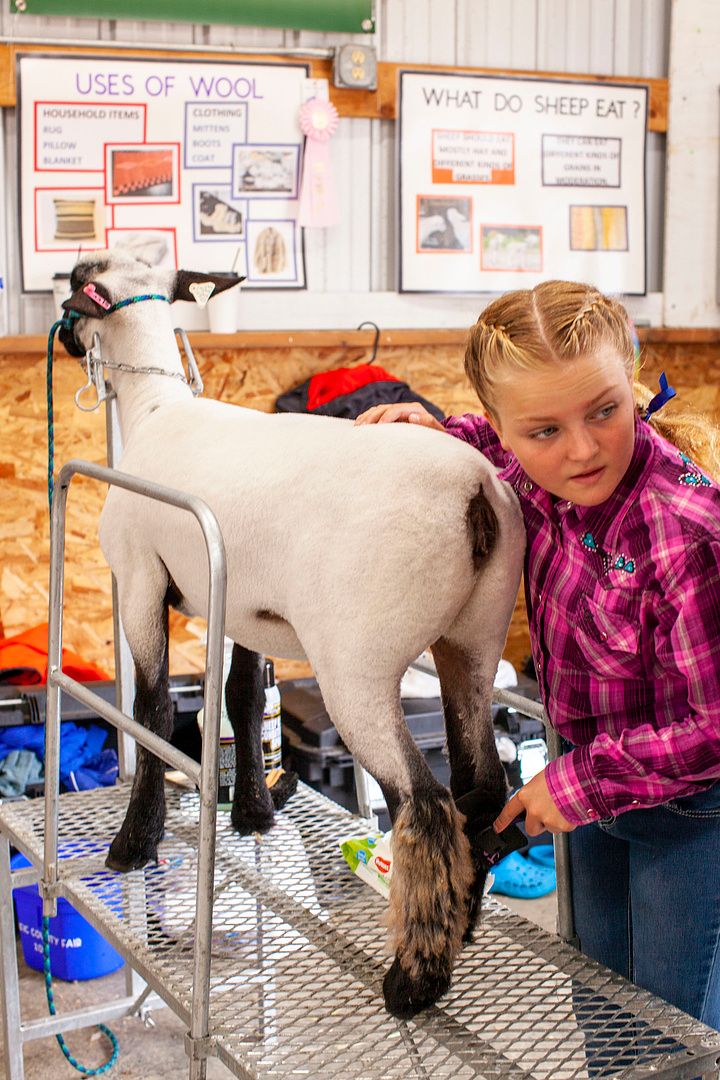 Pacific County Fair Event Details | Washington | 360-942-3713