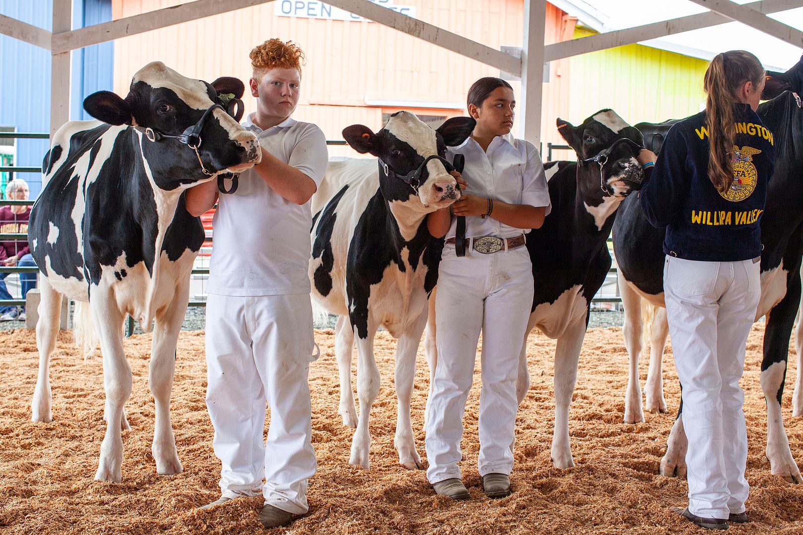 Pacific County Fair Event Details | Washington | 360-942-3713