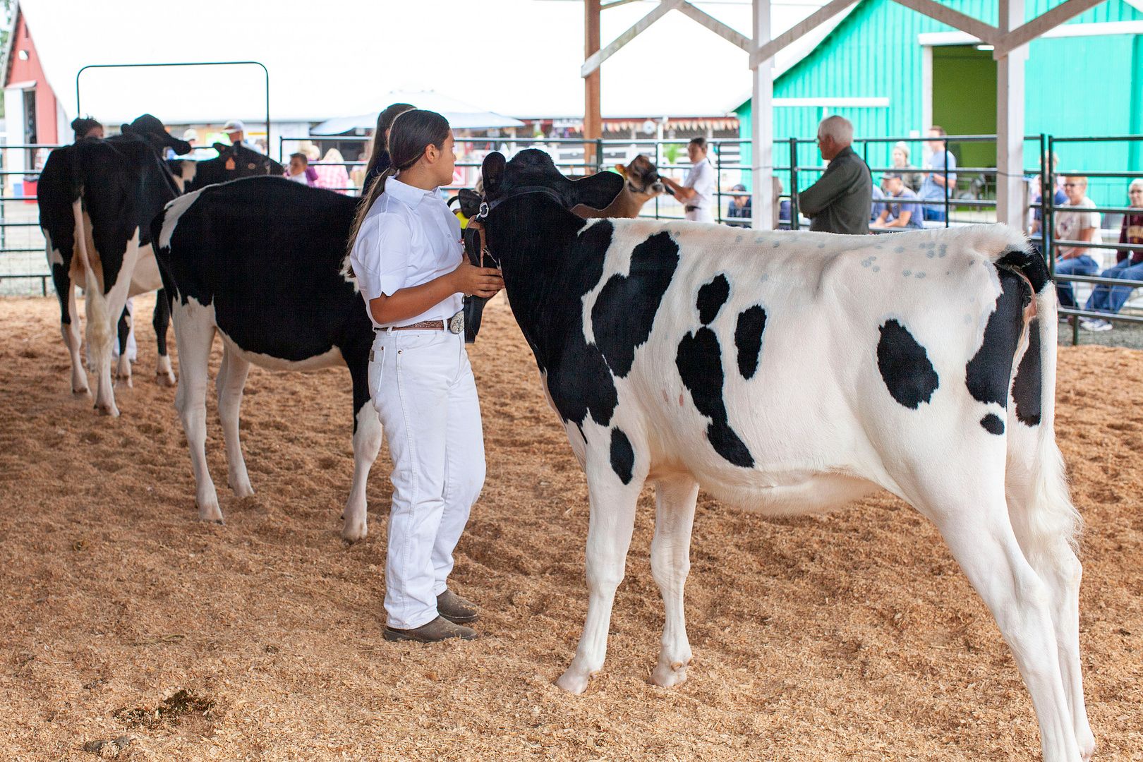 Pacific County Fair Event Details | Washington | 360-942-3713
