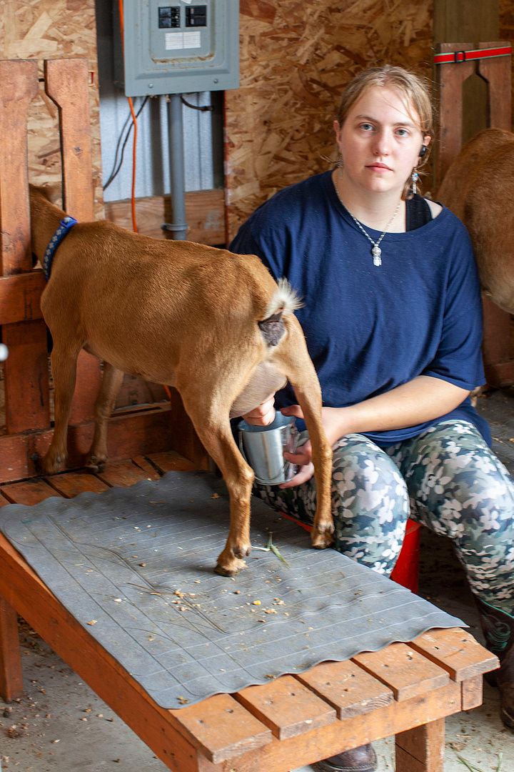 Pacific County Fair Event Details | Washington | 360-942-3713