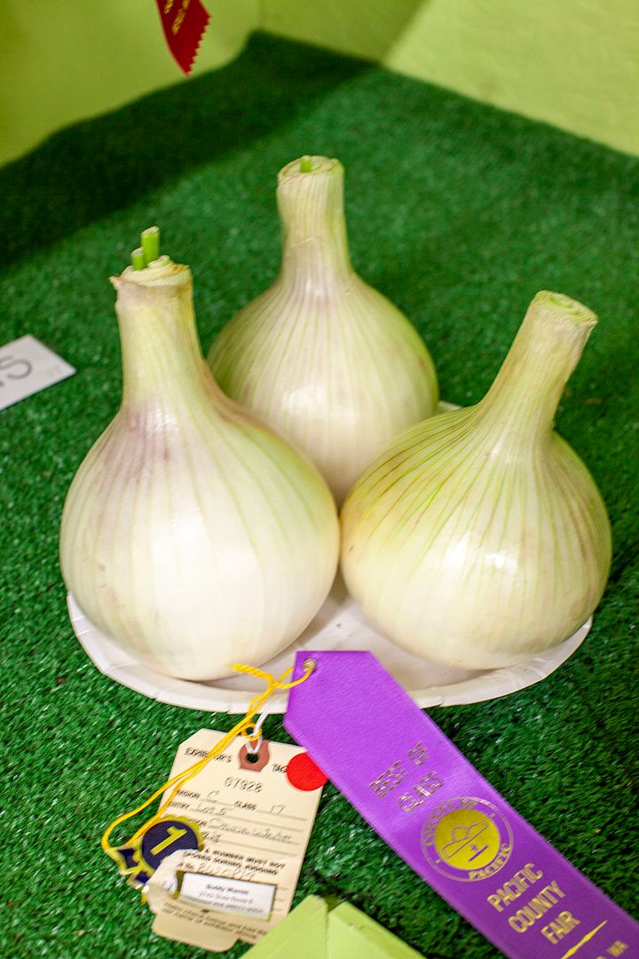 Pacific County Fair Event Details | Washington | 360-942-3713