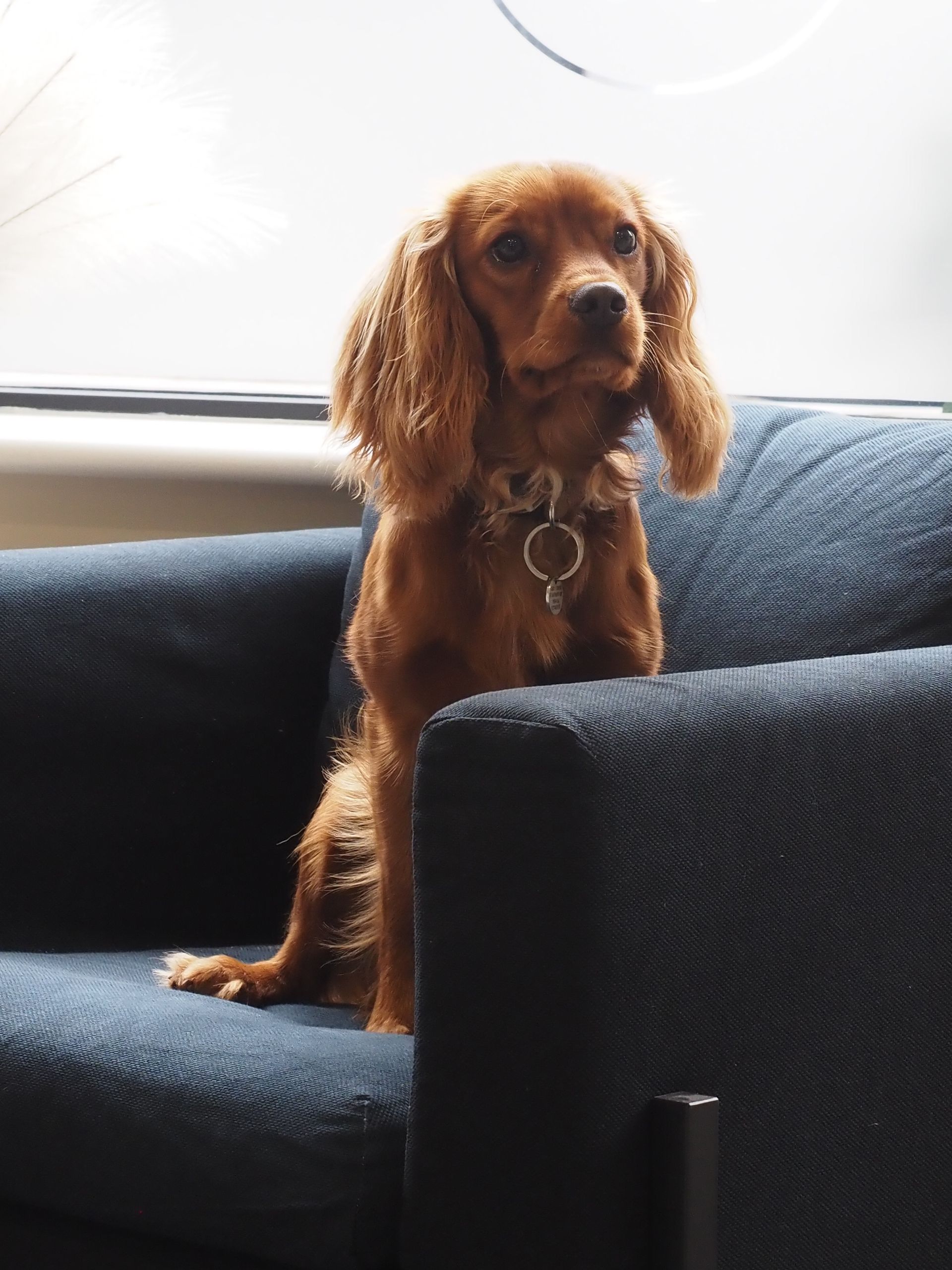 Meet Our Lawyers | Woodstock Legal Services