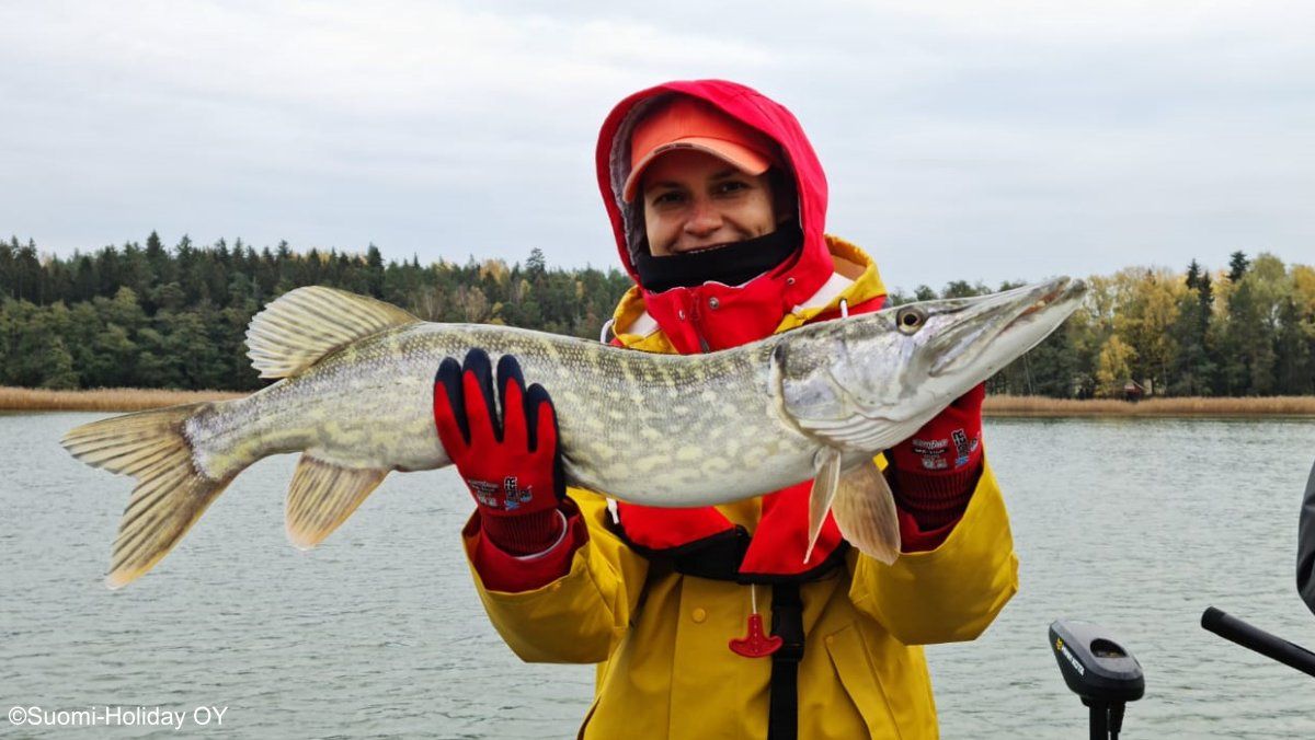 Fishing in Finland: Top Fish Species and Best Baits for Every Season
