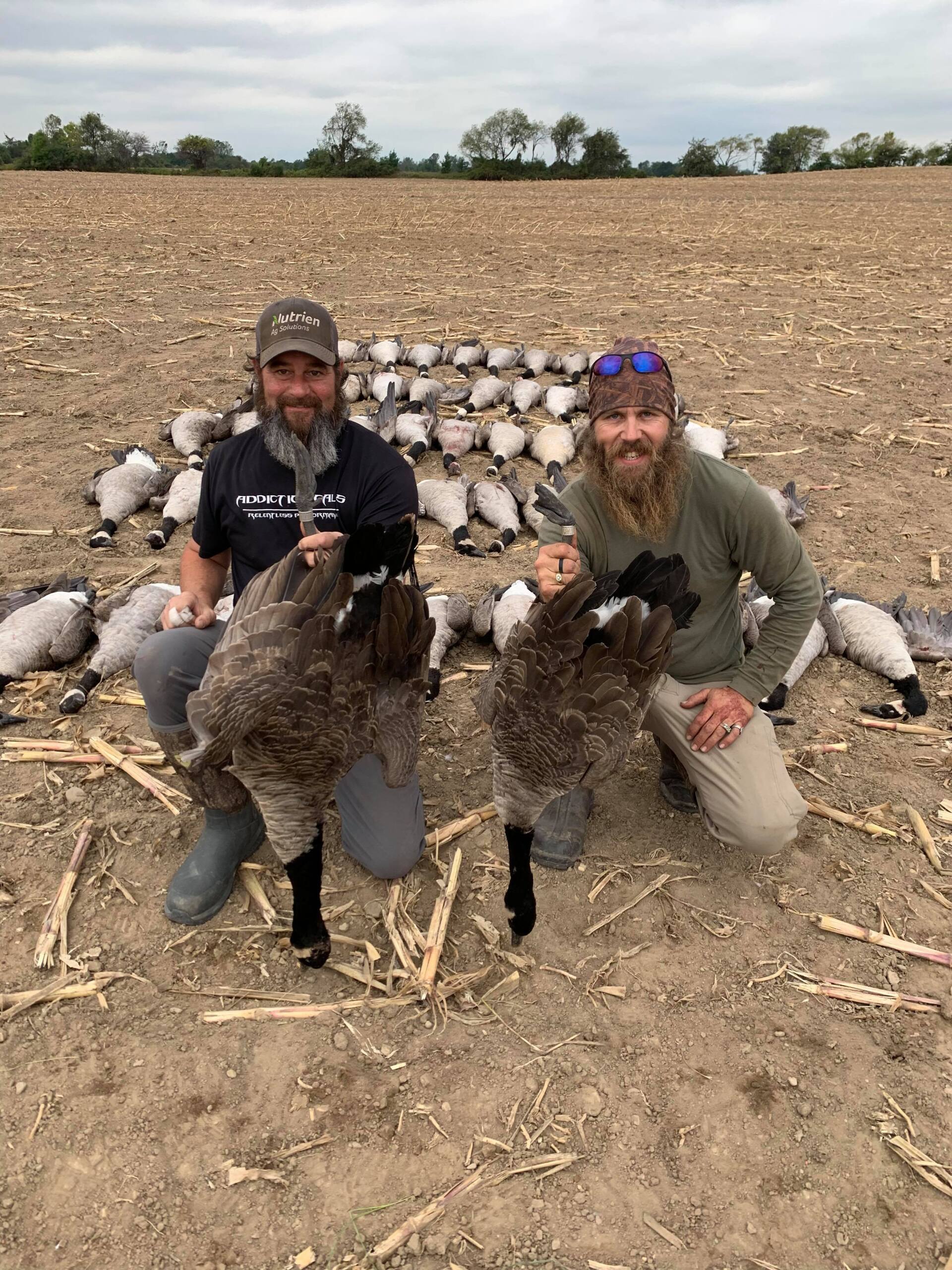 Guided Michigan Duck & Goose Hunting - Waterfowl Action