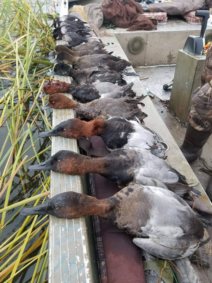 Layout Boat Hunts for Sea Ducks - Big Water Waterfowl Hunting