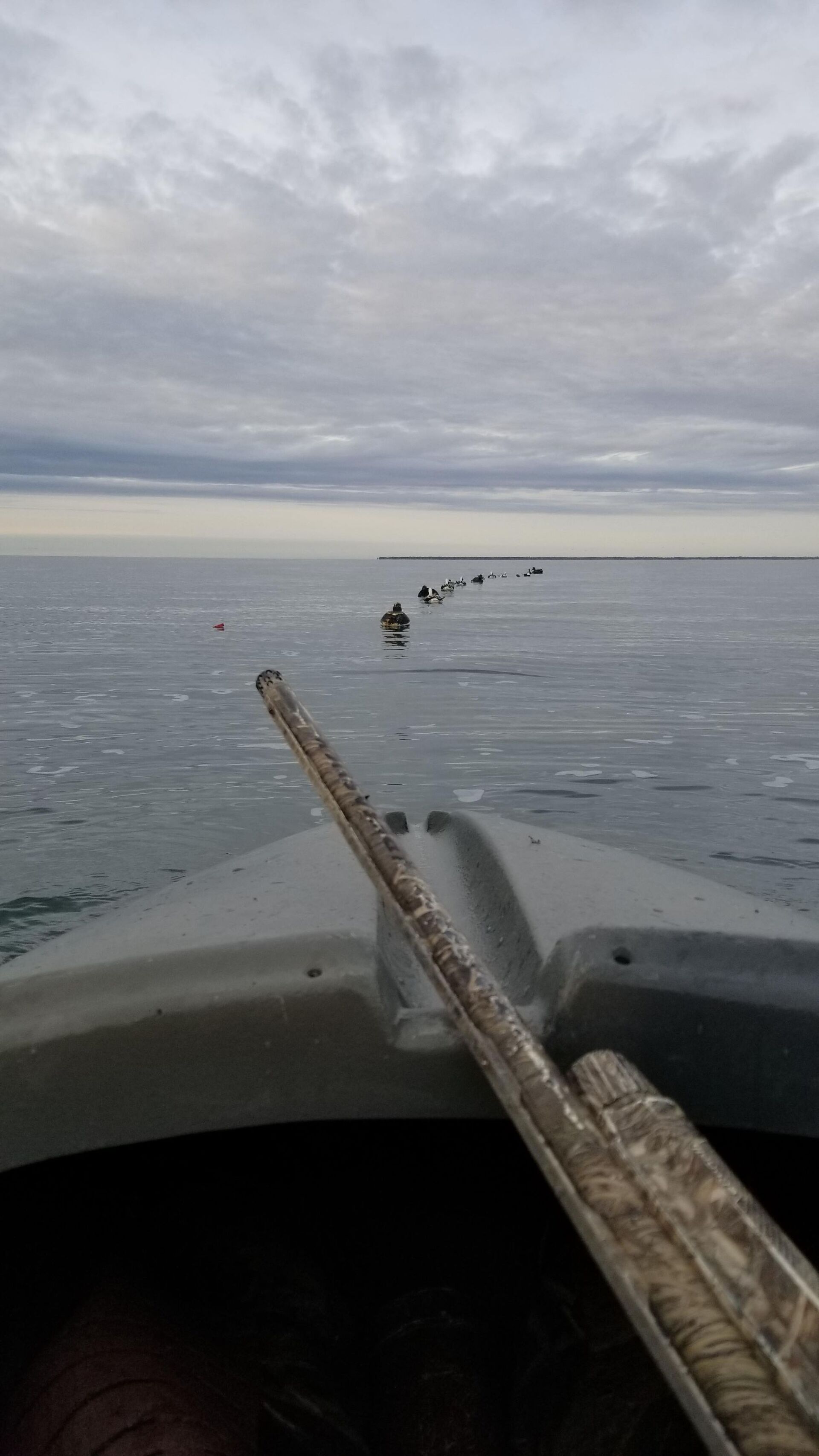 Layout Boat Hunts for Sea Ducks - Big Water Waterfowl Hunting