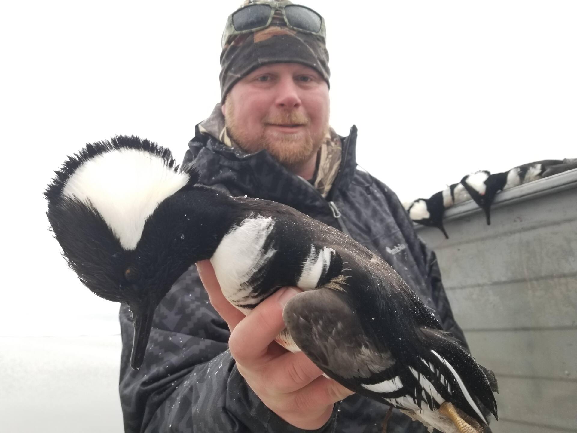 Layout Boat Hunts for Sea Ducks - Big Water Waterfowl Hunting