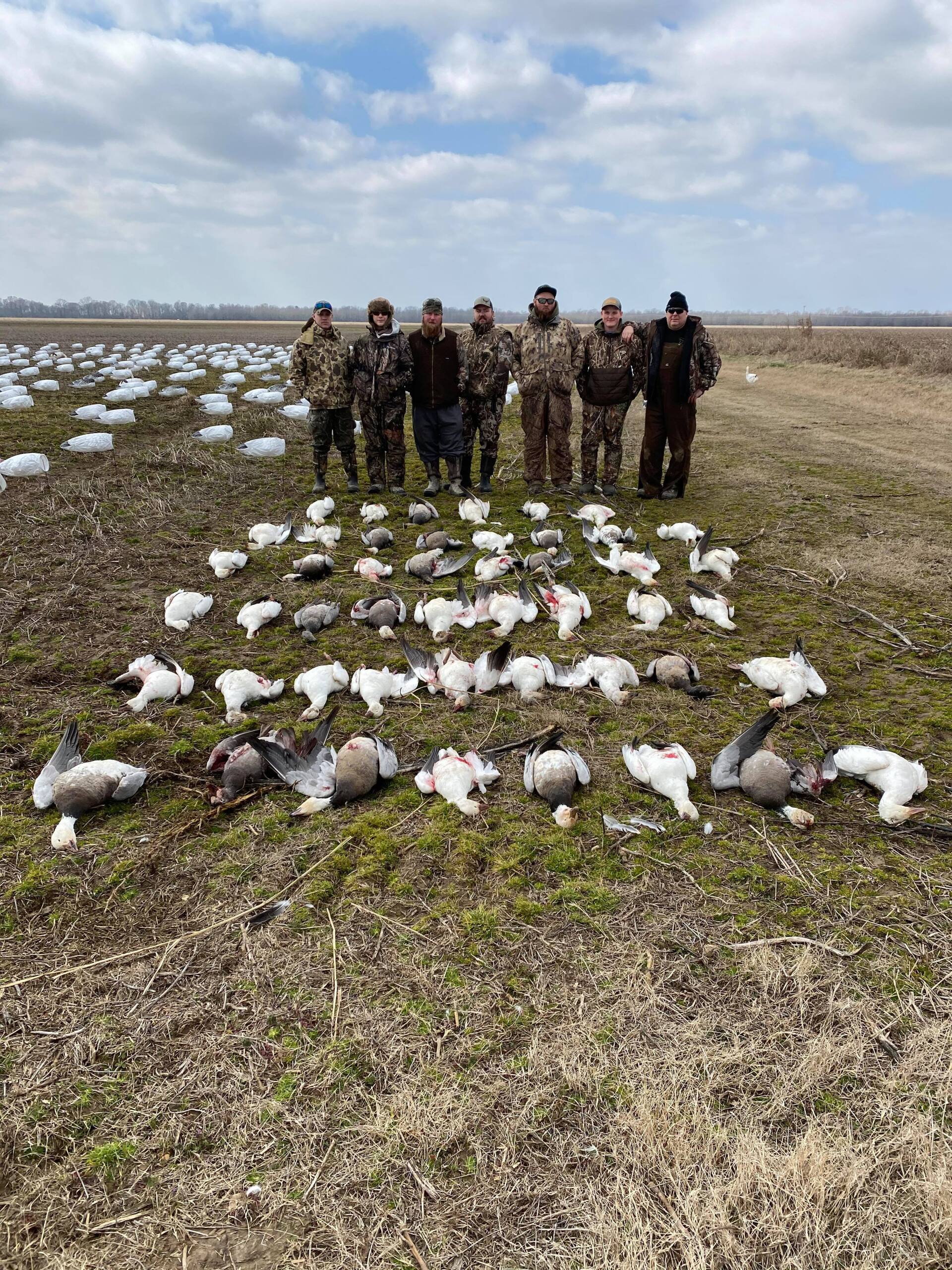 Arkansas Snow Goose Hunts - Spring Goose Hunting