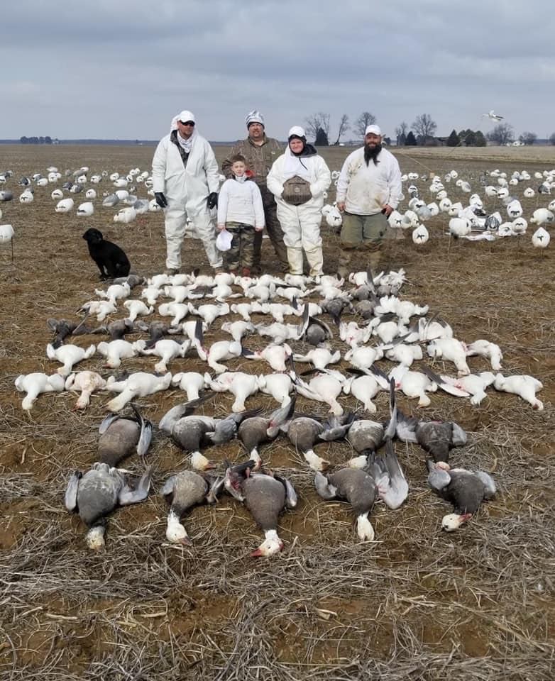 Arkansas Snow Goose Hunts - Spring Goose Hunting