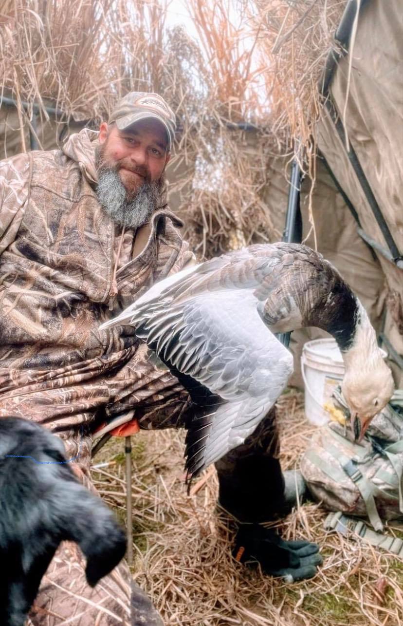 Arkansas Snow Goose Hunts - Spring Goose Hunting