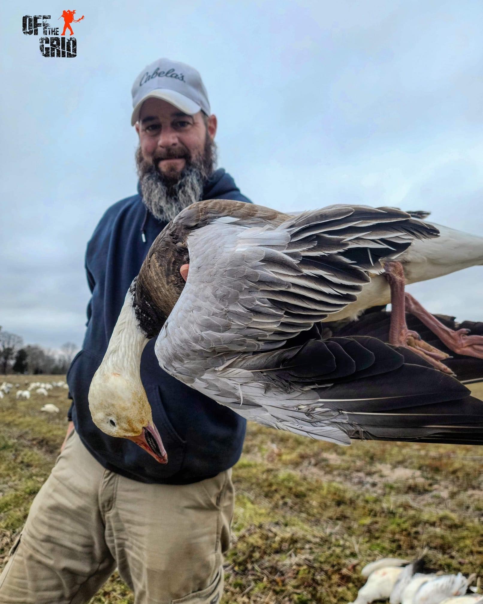 Arkansas Snow Goose Hunts - Spring Goose Hunting