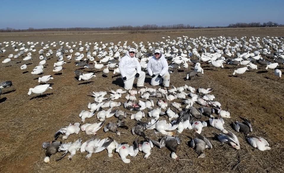 Arkansas Snow Goose Hunts - Spring Goose Hunting