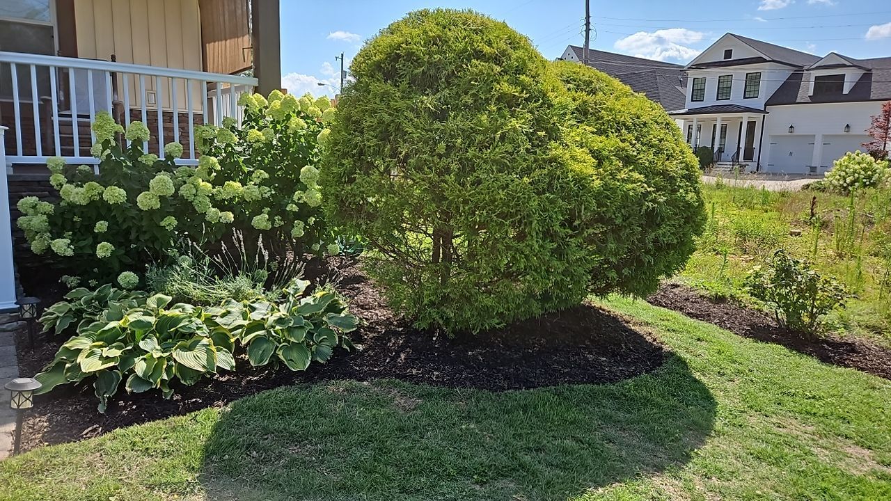 Chattanooga Landscaping Gallery - Green Grounds Solutions