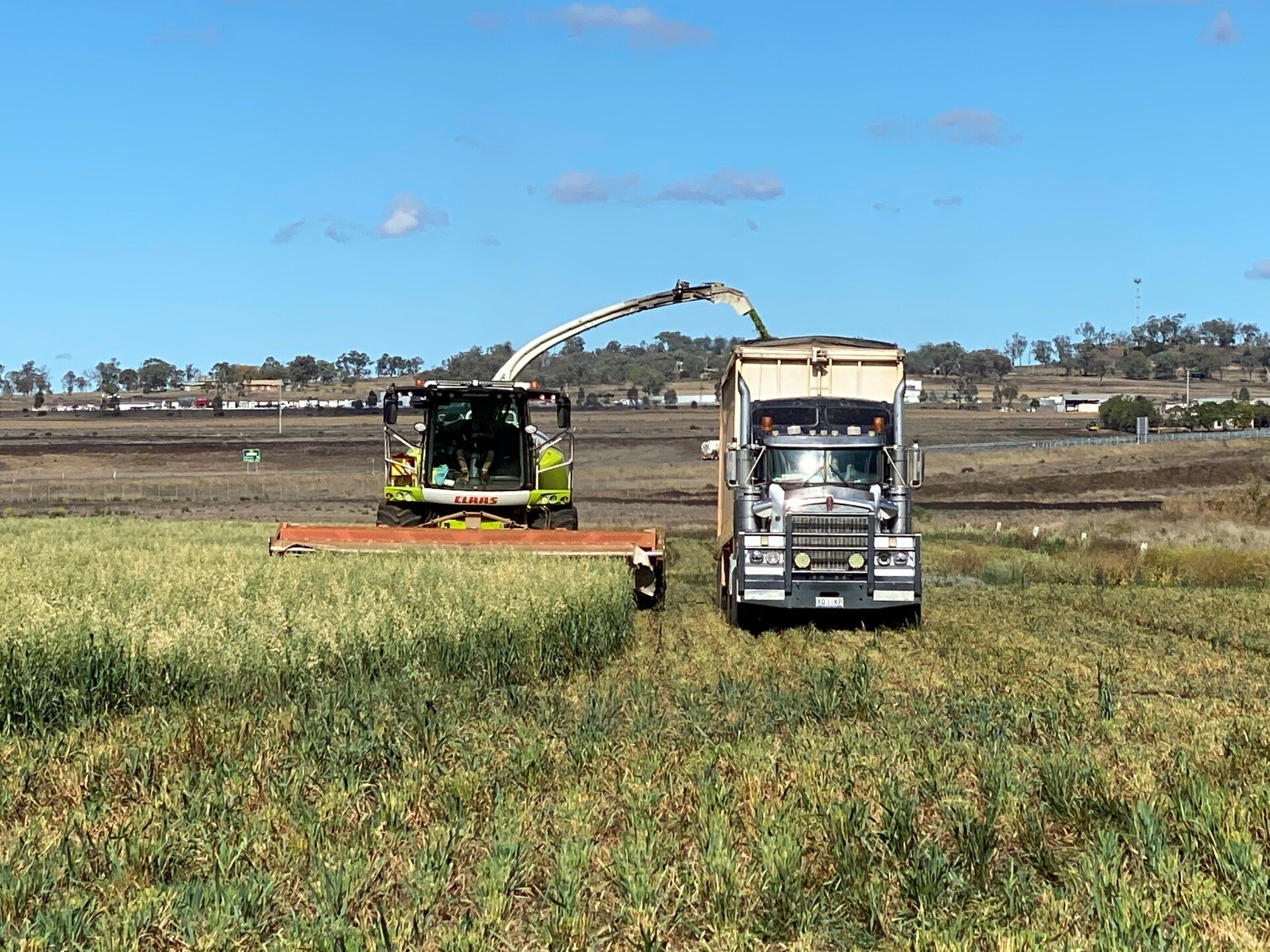 Toowoomba Hay Farm