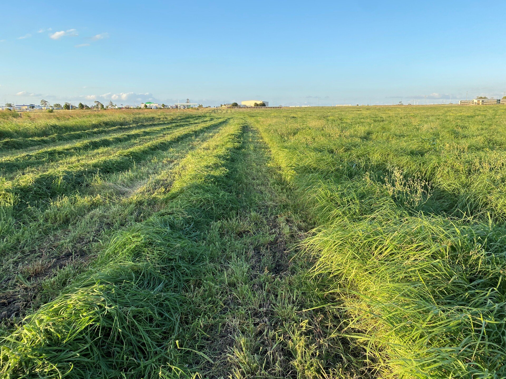 Contact Toowoomba Hay Farm
