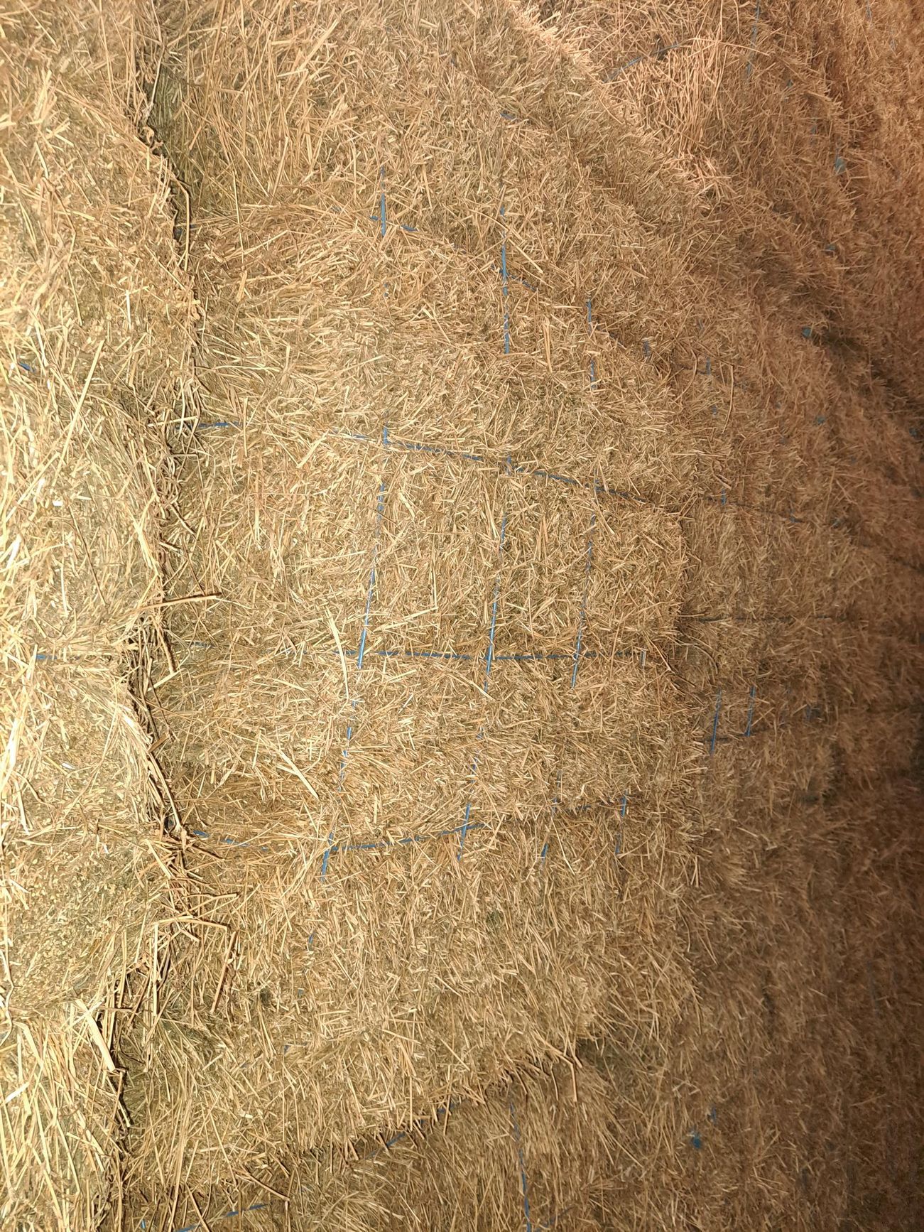 Toowoomba Hay Farm