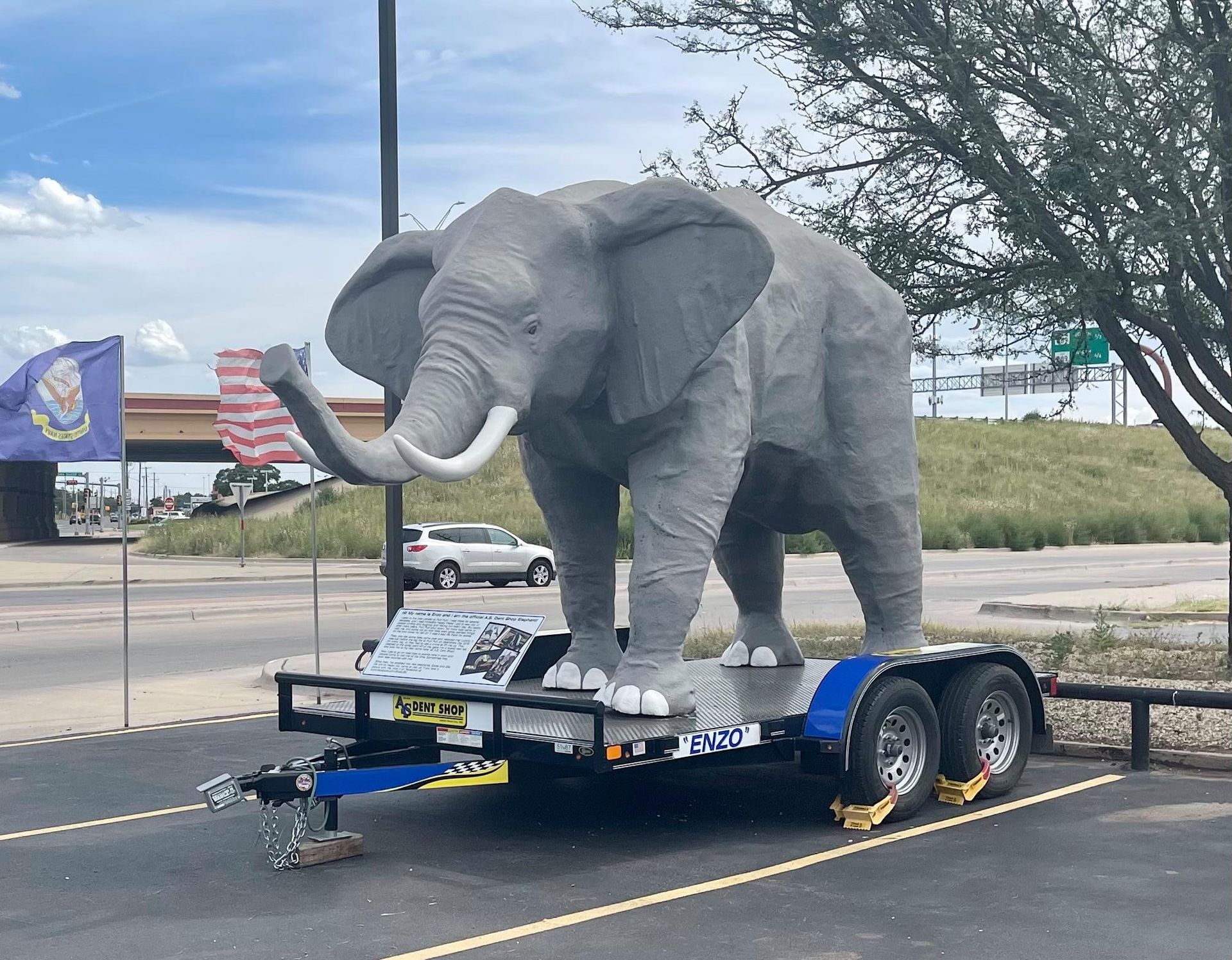 Enzo the Elephant – Lubbock, TX – A.S. Dent Shop LLC