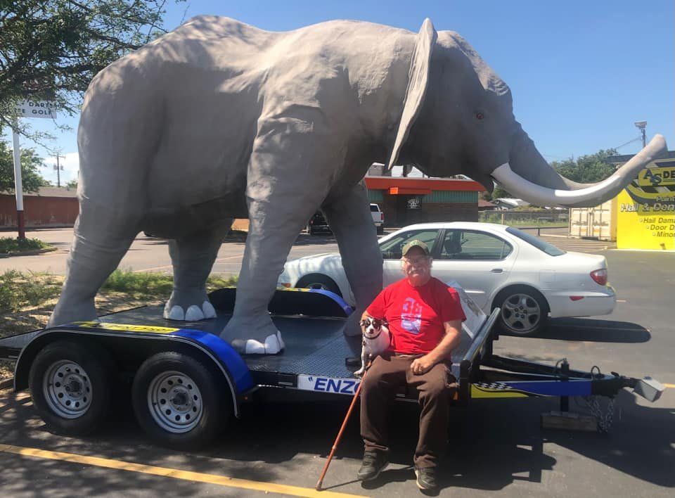 Enzo the Elephant – Lubbock, TX – A.S. Dent Shop LLC