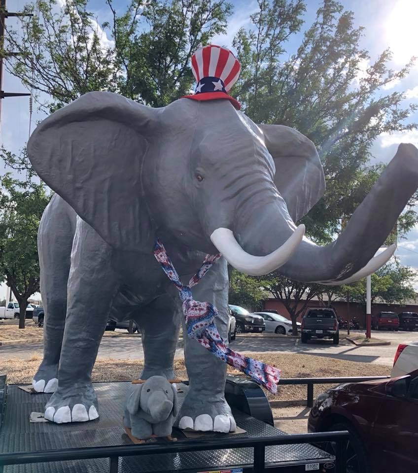 Enzo the Elephant – Lubbock, TX – A.S. Dent Shop LLC