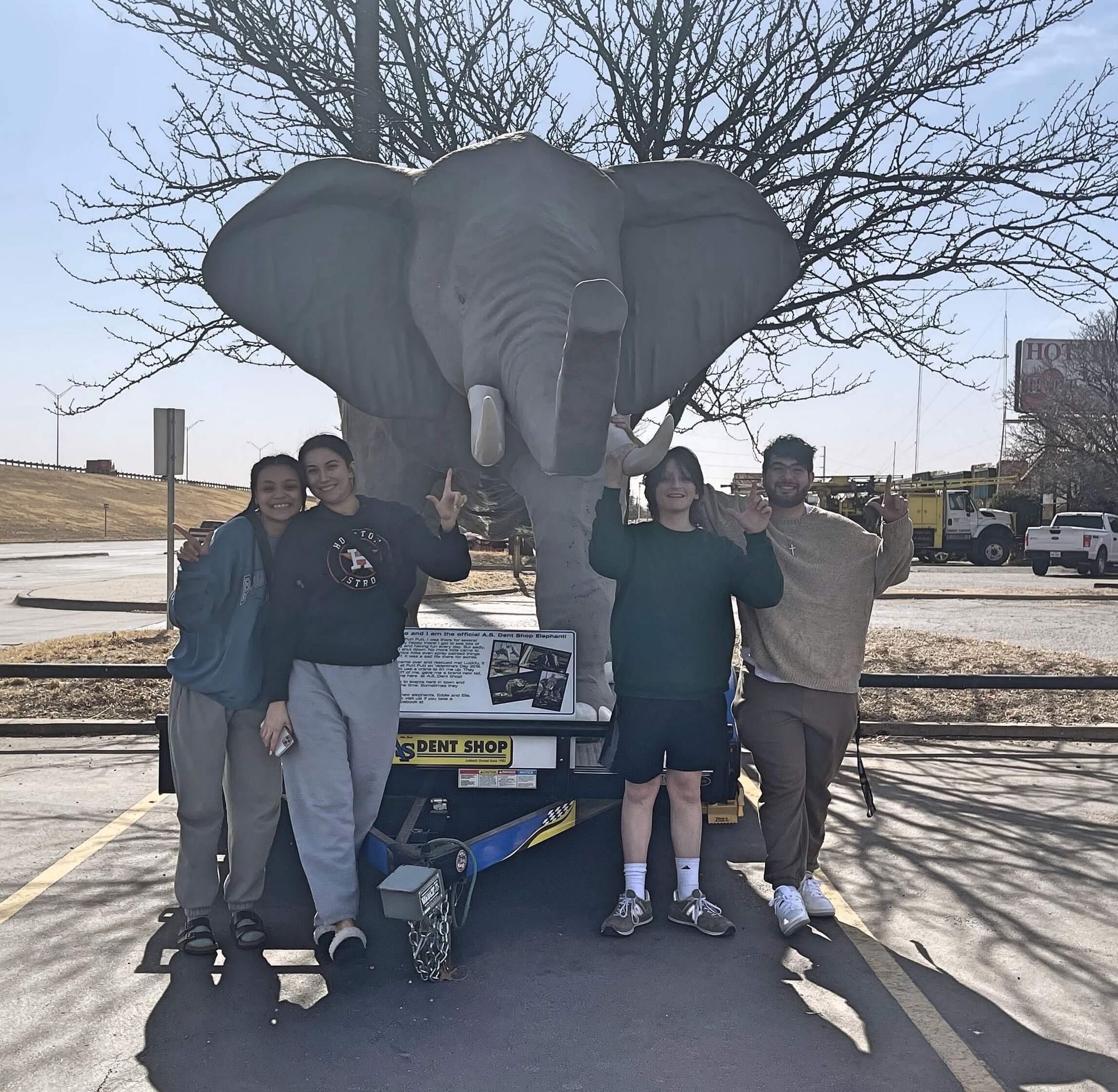 Enzo the Elephant – Lubbock, TX – A.S. Dent Shop LLC