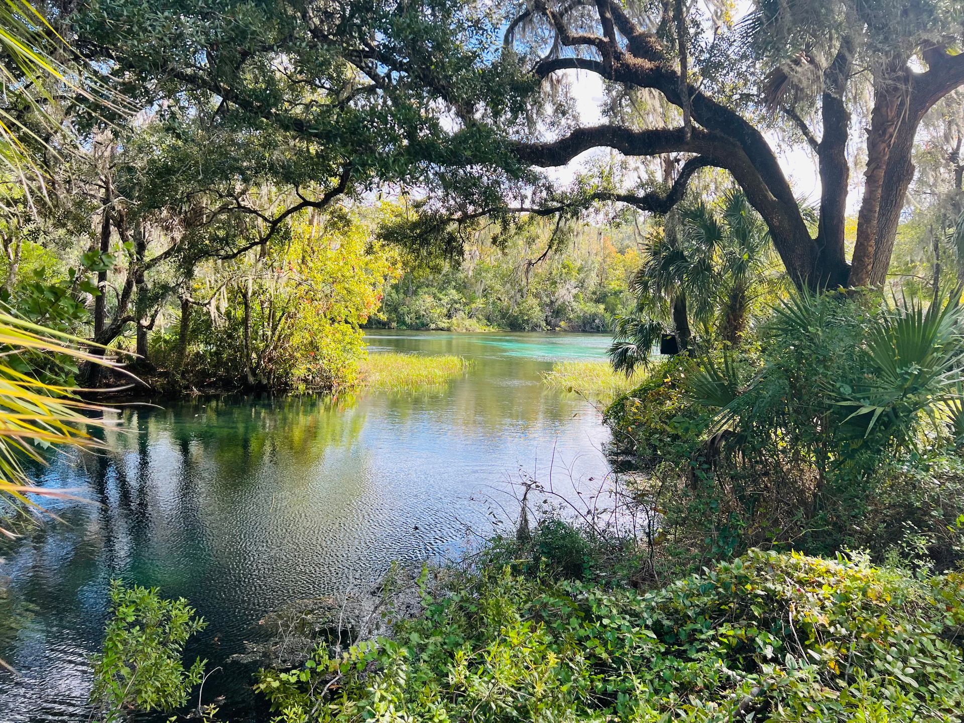 Rainbow Springs Real Estate | Dunnellon, FL | RSRG