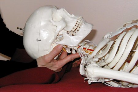 Nancy Haller | Advanced Wellness Connections | Schedule An Appt Today!