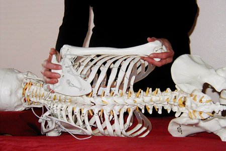 Nancy Haller | Advanced Wellness Connections | Schedule An Appt Today!