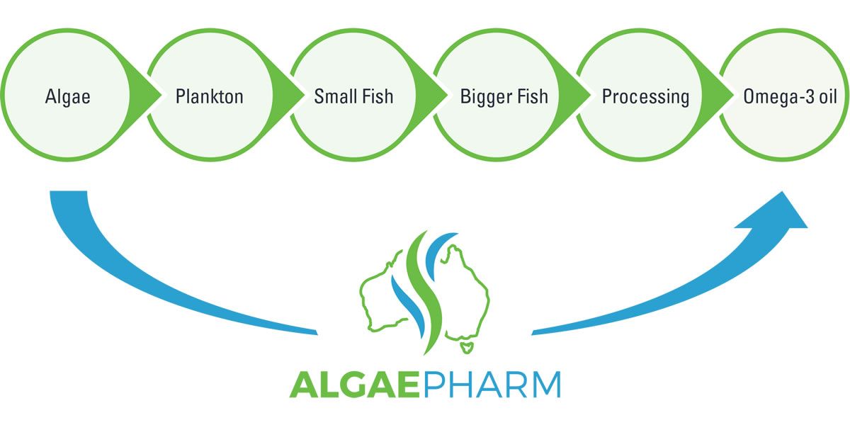 About - Algae Pharm