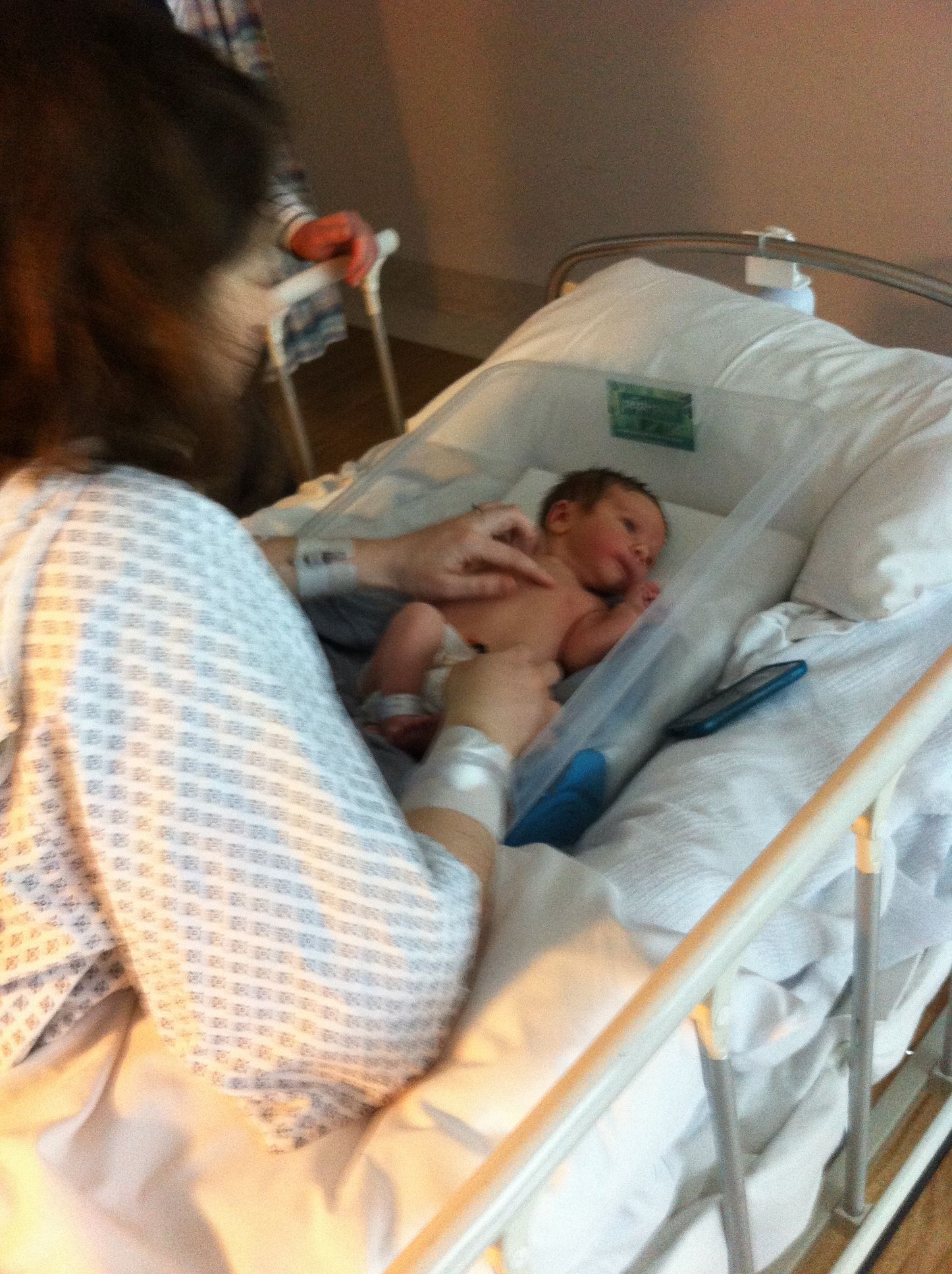 new pepi-pod sleep space with windows safe sleep vulnerable babies