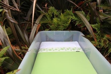 new pepi-pod sleep space with windows safe sleep vulnerable babies