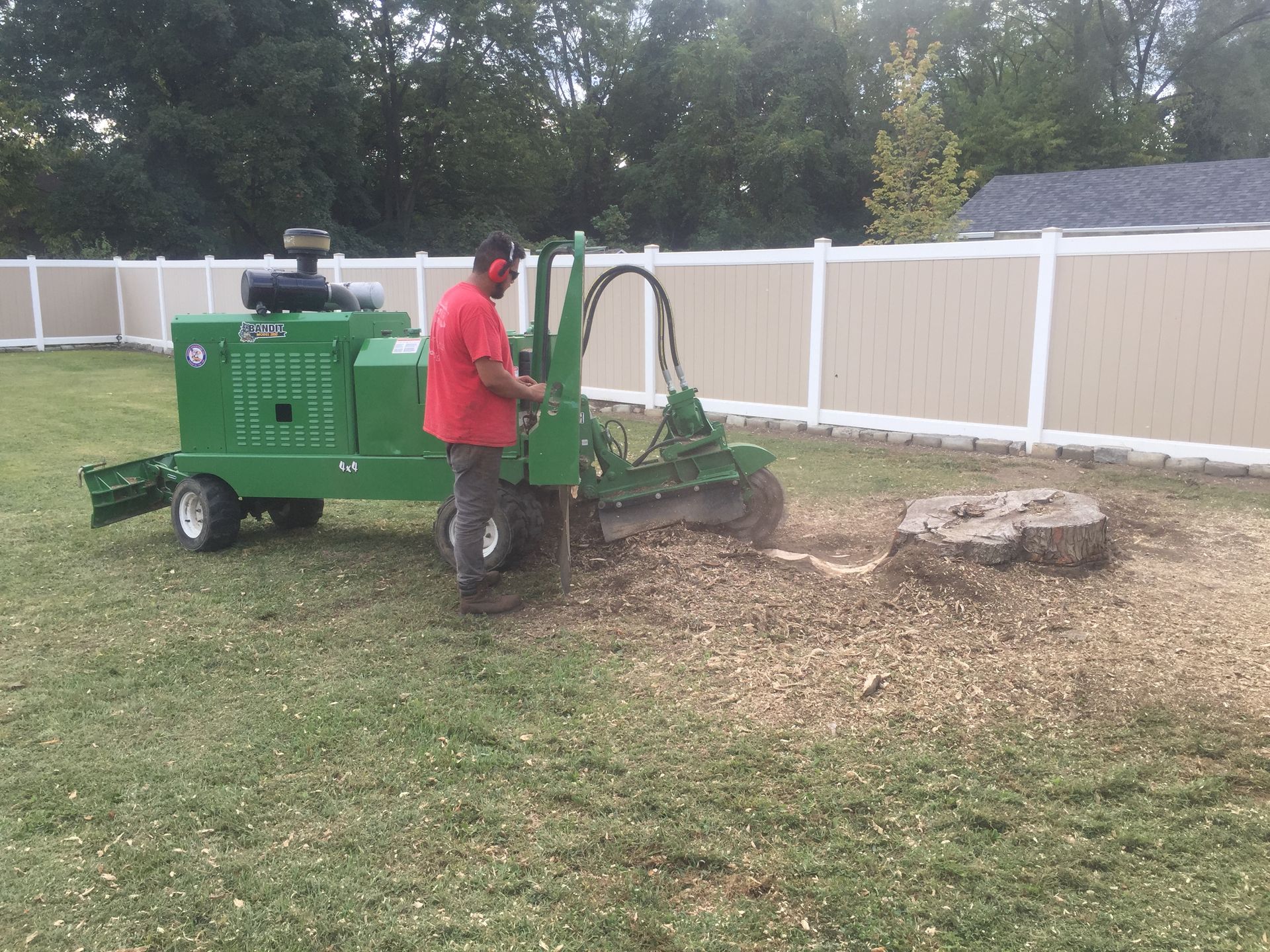 Tree Service | Cincinnati, OH | Native Tree Care