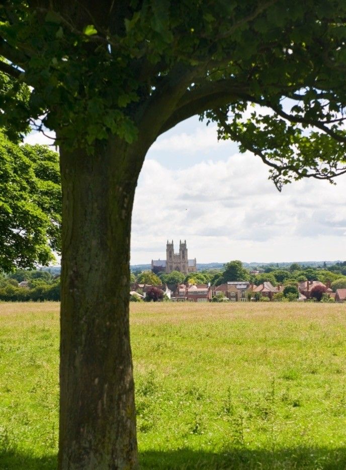 Things to Do Near Beverley on a Winter Break