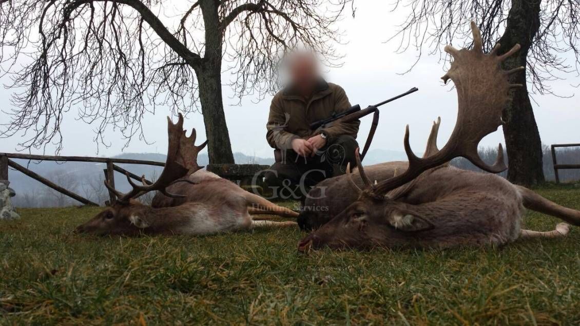 Game hunting | Piedmont, Umbria | G&G Hunting Services
