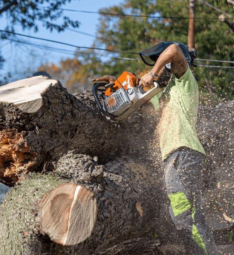 Tree Removal | Viking Tree Service LLC | Shepherdstown, WV