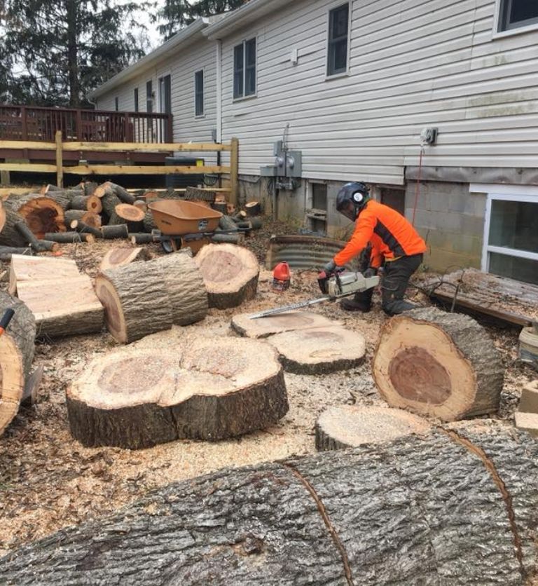 Tree Removal | Viking Tree Service LLC | Shepherdstown, WV