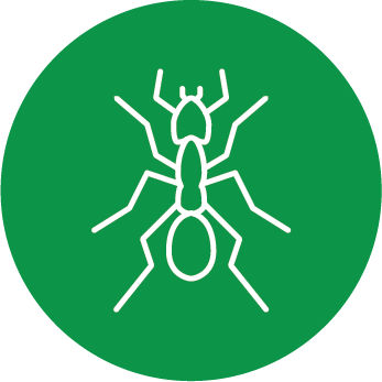 Expert Natural Pest Control in Reno, NV | Natura Pest Control