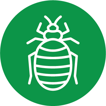 Expert Natural Pest Control in Reno, NV | Natura Pest Control