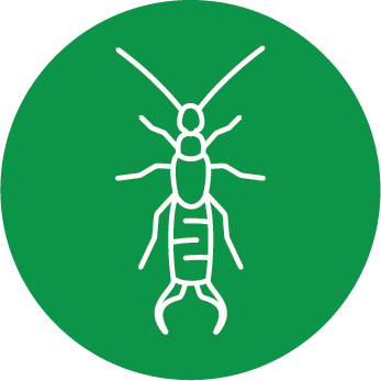 Expert Natural Pest Control in Reno, NV | Natura Pest Control