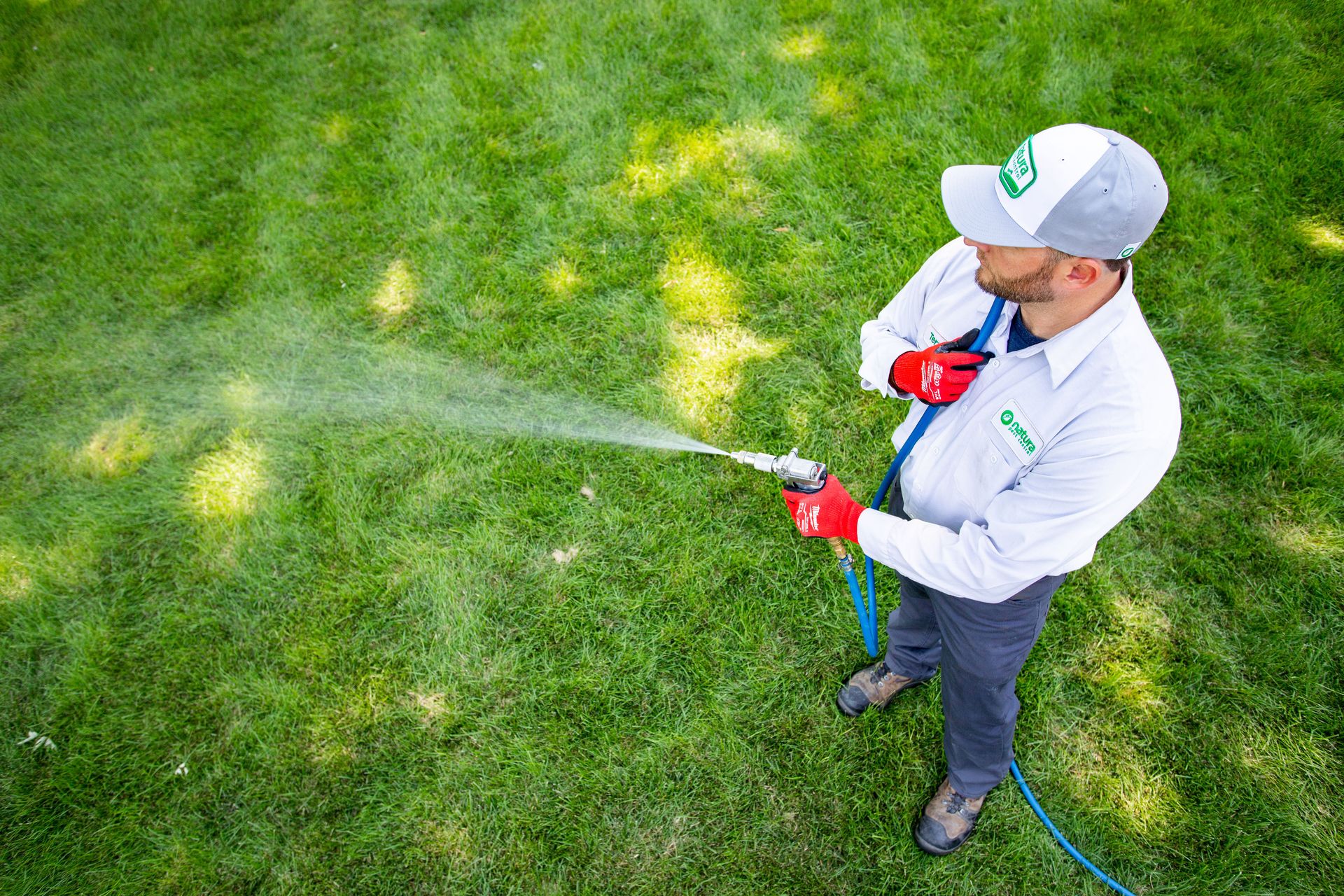 Expert Natural Pest Control in Reno, NV | Natura Pest Control